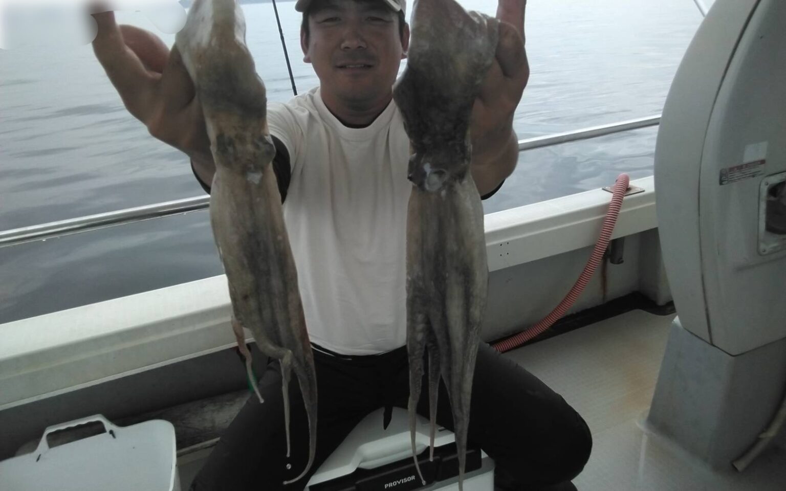 釣果情報2024年5月〜6月 | SEA★STORY